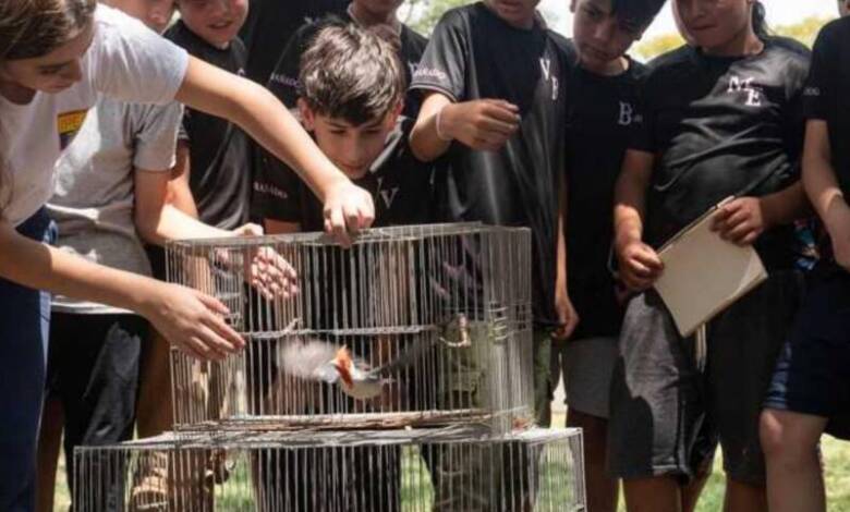 Liberación de animales - NOTIFY